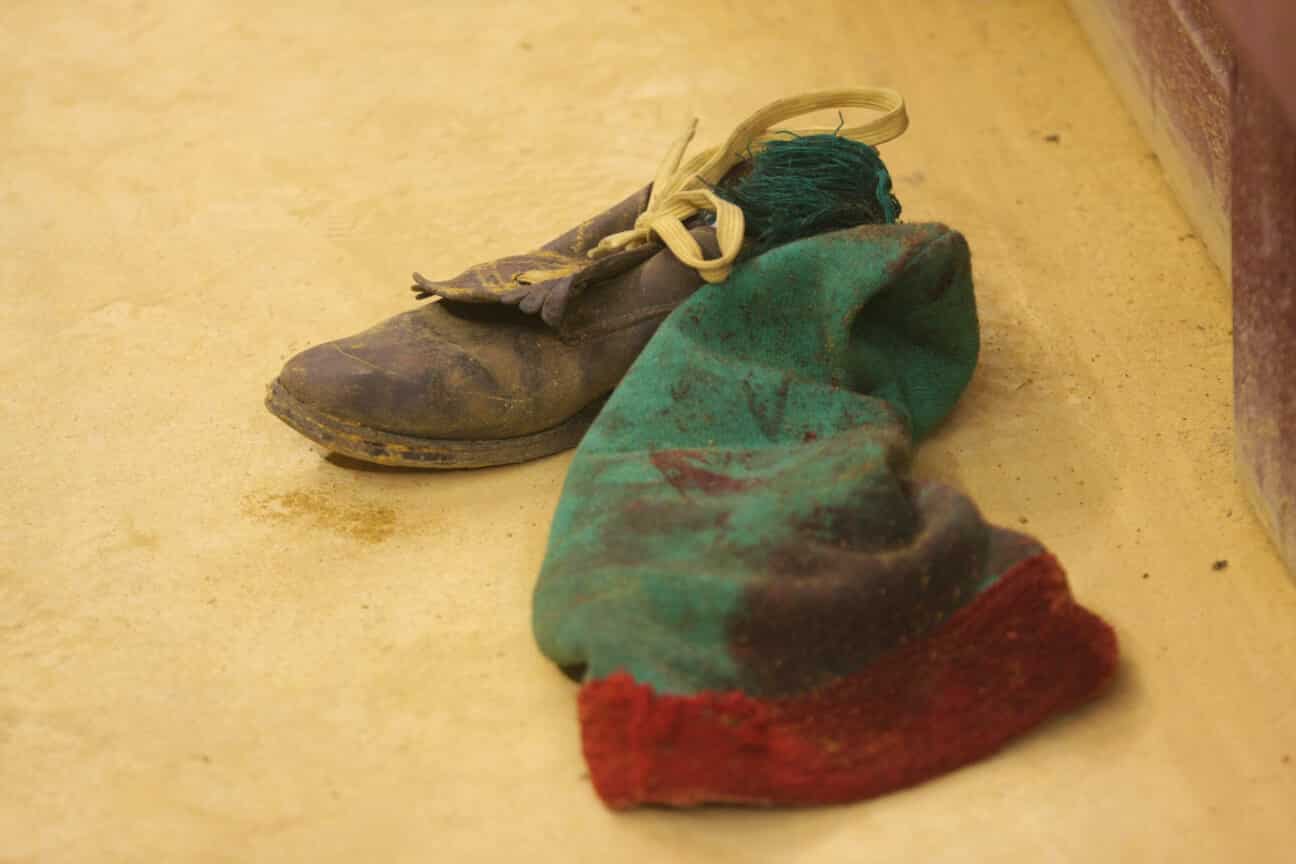 Notícias ANGF – ANGF